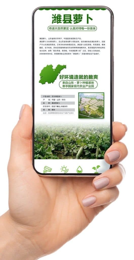 Protecting the Weixian Radish | Kezzler